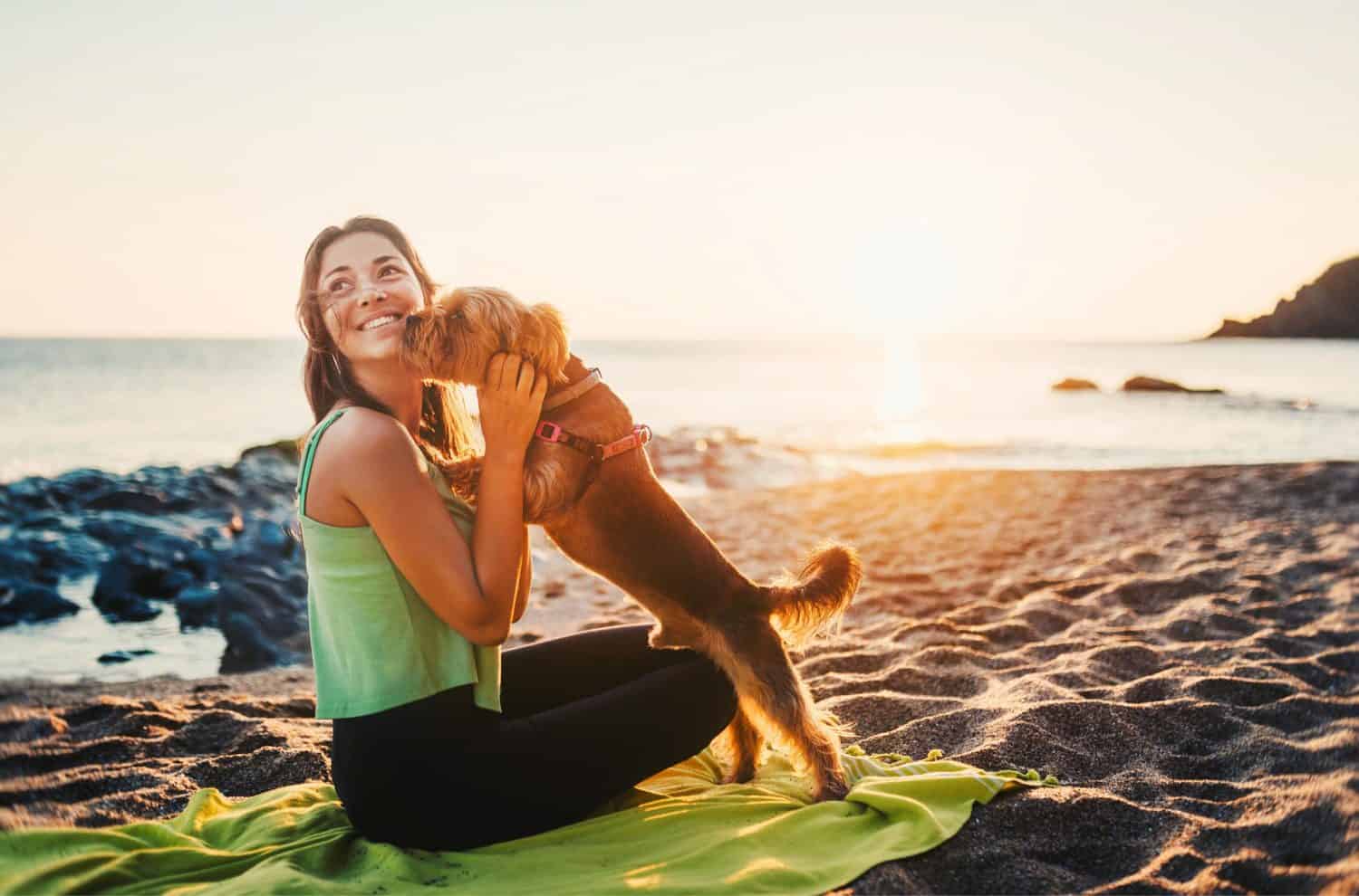 Summer Pet Care: How To Keep Your Furry Family Member Safe During Hot ...
