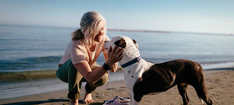 Client Testimonials | Caring Paws Animal Hospital